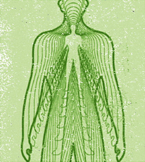 yourbodyhome - Spiritual Laundry Membership